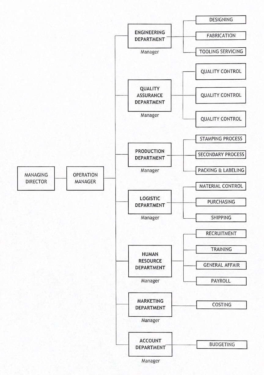 Organization Structure